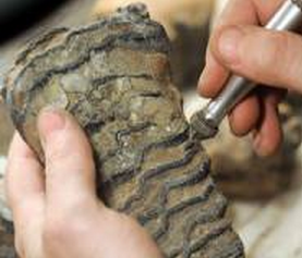 Datación radiométrica – Apuntes para universitarios